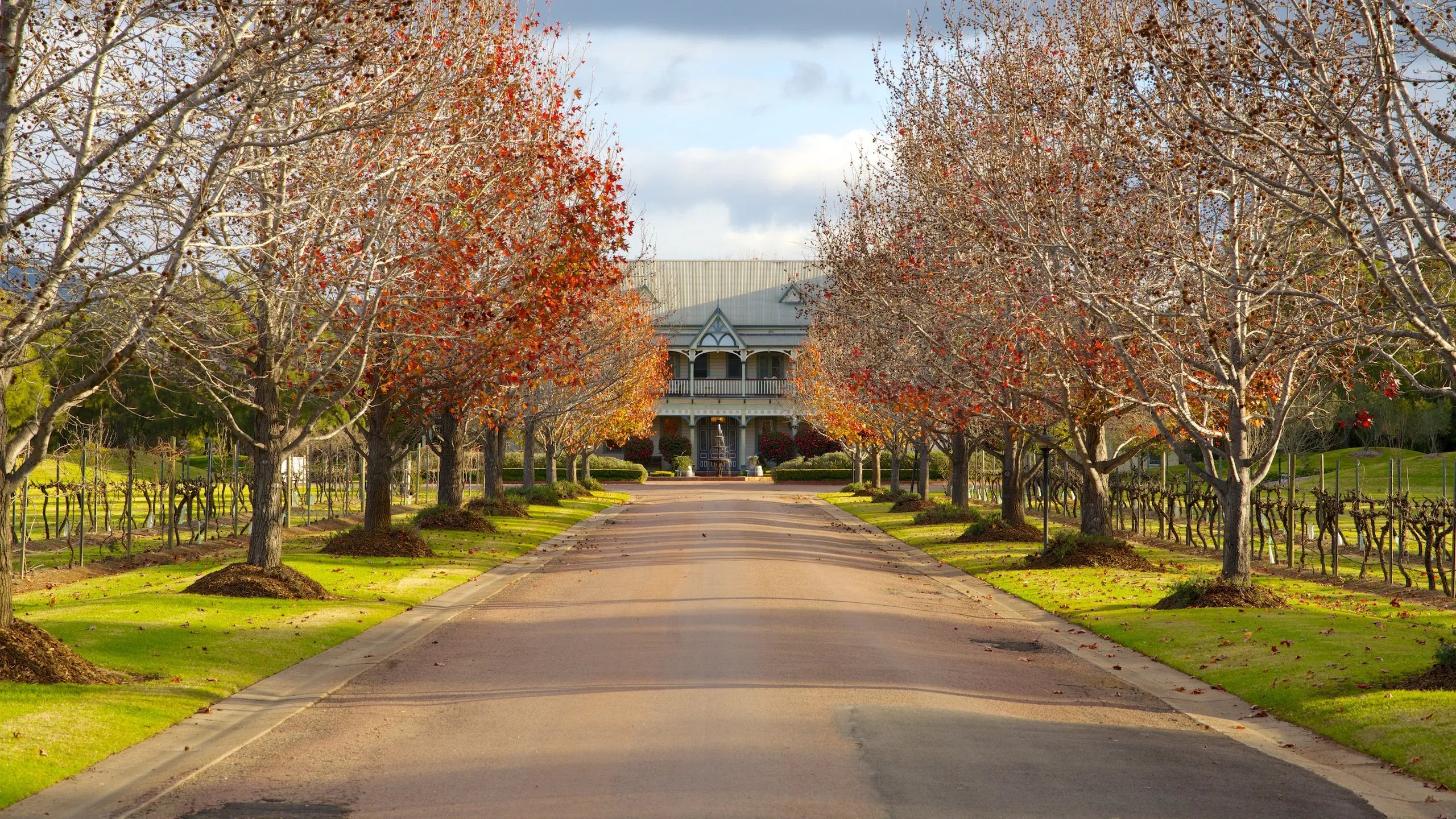 Pepper Tree Wines – The Australian Wine Company